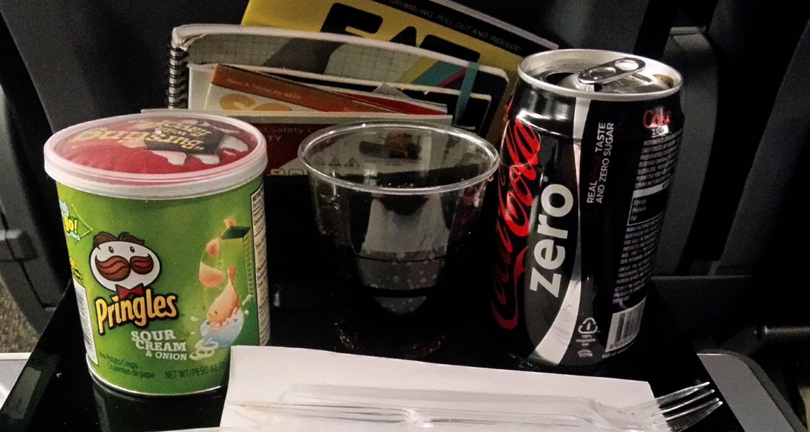 Scoot Biz Meals Inflight Review-Inflight Feed